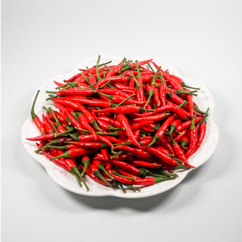 Frozen Chilli – MTFruit | Fruit & Vegetables Global Supplier