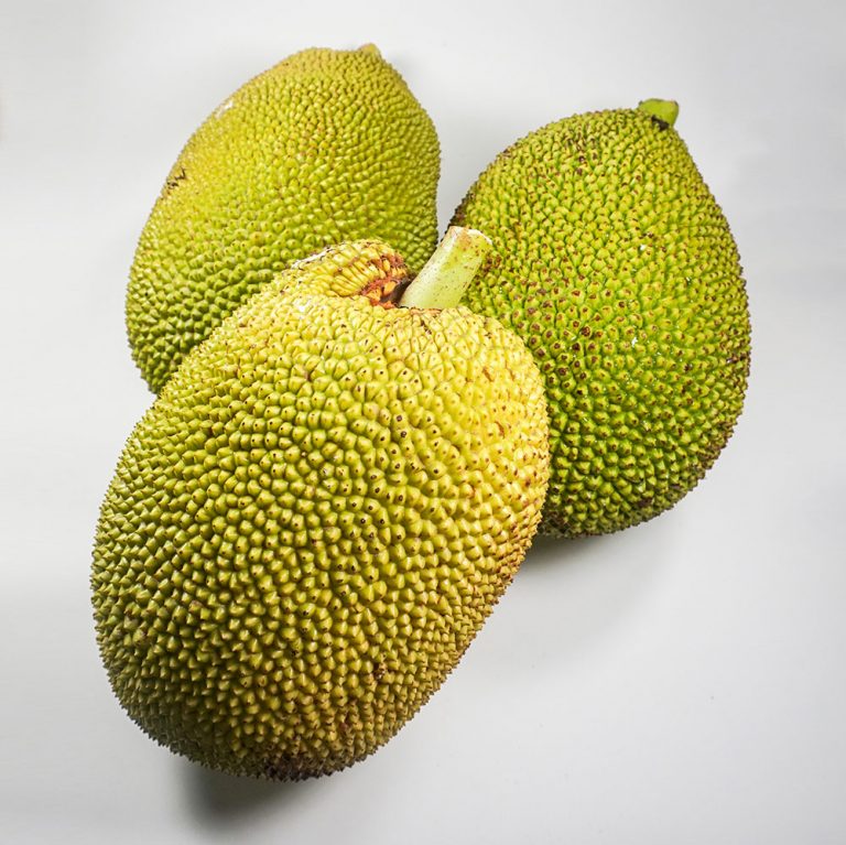 Frozen Durian – MTFruit | Fruit & Vegetables Global Supplier