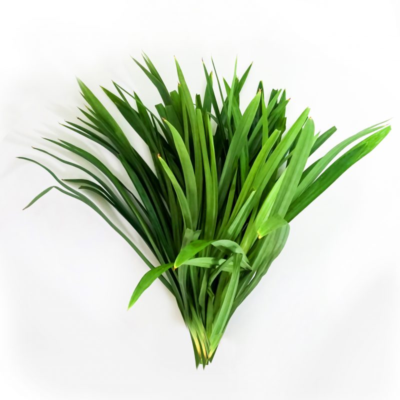 Frozen Lemongrass Mtfruit Fruit And Vegetables Global Supplier
